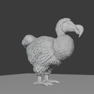 Dodo Bird 3d Print STL File - Etsy