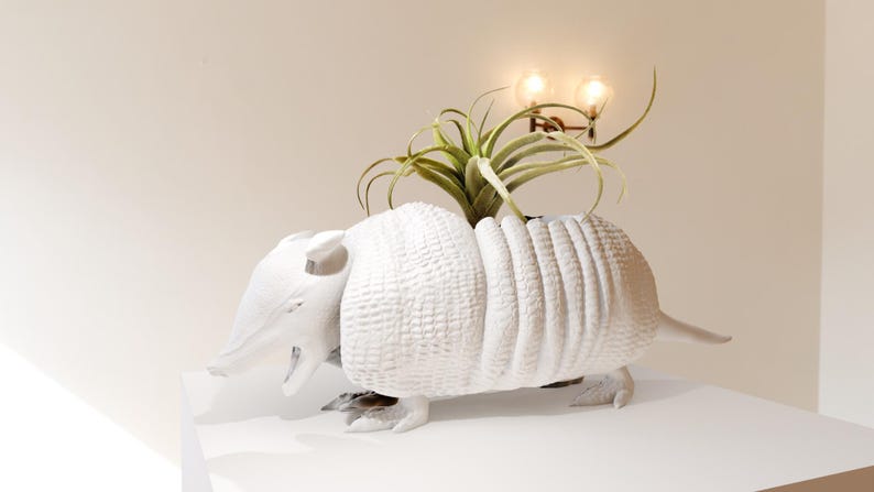 Armadillo Mouth Open Planter Pot Flower Vase 3d Printing STL File - Etsy