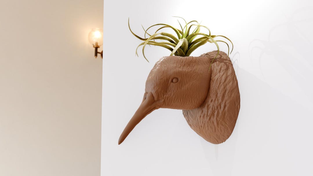 Kiwi Bird Wall Mount Planter Pot Flower Vase 3d Printing STL File - Etsy