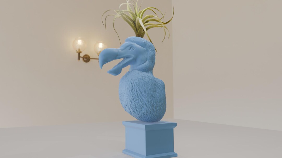 Dodo Bird Mouth Open Bust Planter Pot Flower Vase 3d Print STL File - Etsy