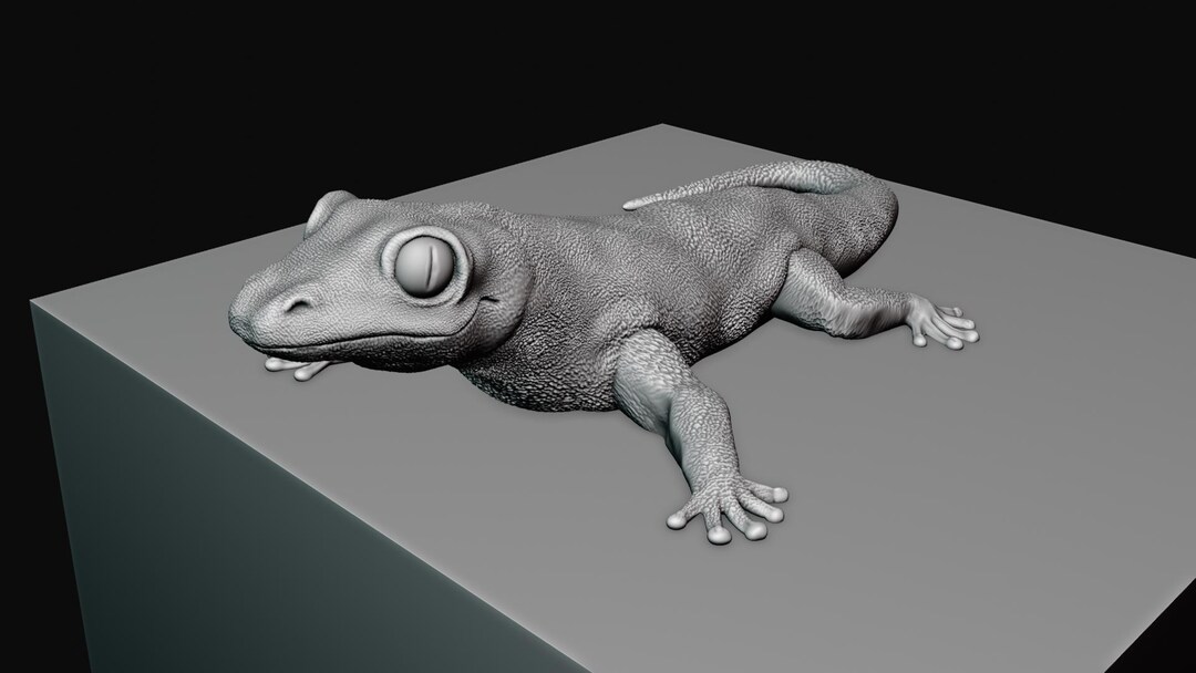 Gecko 3d Printing STL File - Etsy