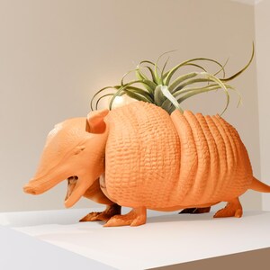 Armadillo Mouth Open Planter Pot Flower Vase 3d Printing STL File - Etsy