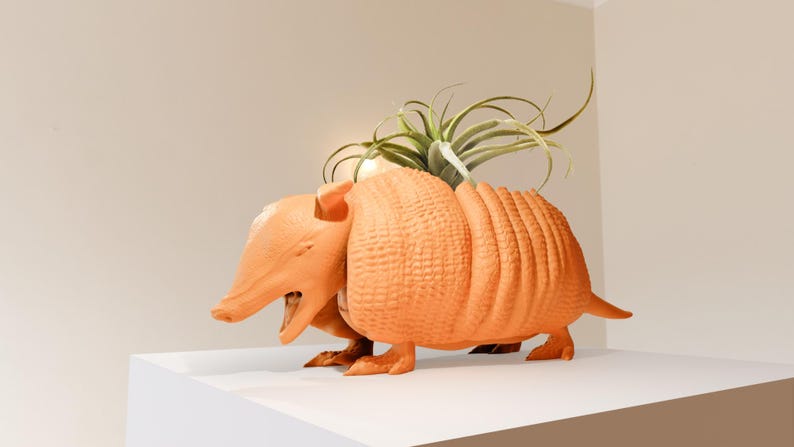 Armadillo Mouth Open Planter Pot Flower Vase 3d Printing STL File - Etsy