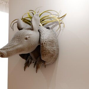 Armadillo Head Wall Mount Planter Pot Flower Vase 3d Printing STL File ...