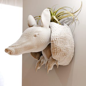 Armadillo Head Wall Mount Planter Pot Flower Vase 3d Printing STL File ...