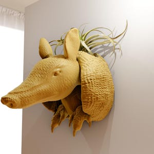 Armadillo Head Wall Mount Planter Pot Flower Vase 3d Printing STL File ...
