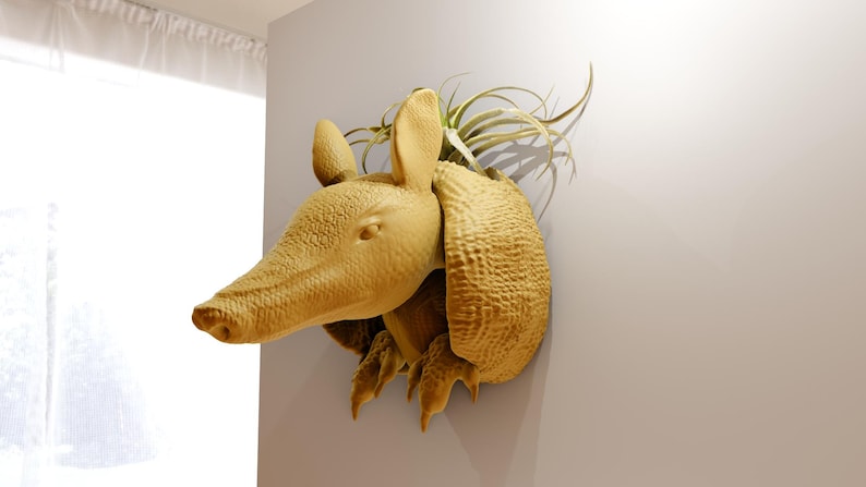 Armadillo Head Wall Mount Planter Pot Flower Vase 3d Printing STL File ...