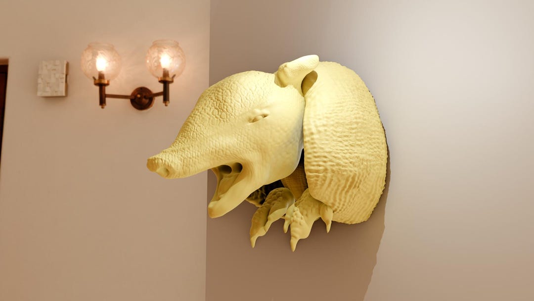 Armadillo Head Wall Mount Mouth Open 3d Printing STL File - Etsy