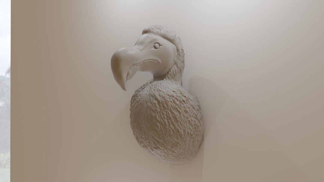 Dodo Bird Head Wall Mount 3d Print STL File - Etsy