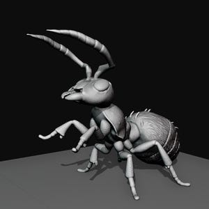 Ant Rearing up 3d Printing STL File - Etsy