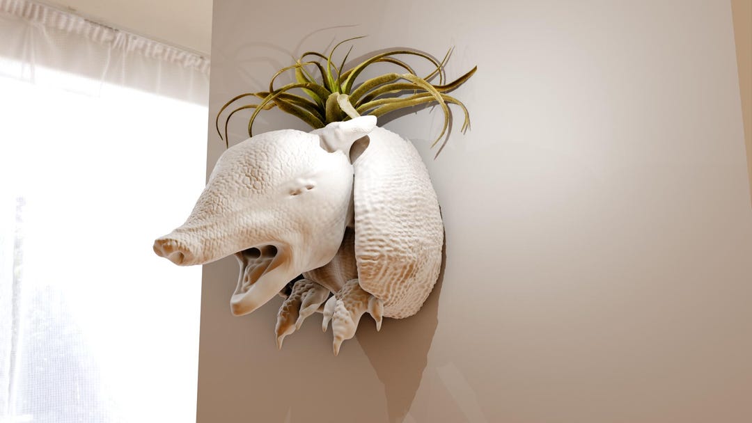 Armadillo Head Wall Mount Mouth Open Planter Pot Flower Vase 3d ...