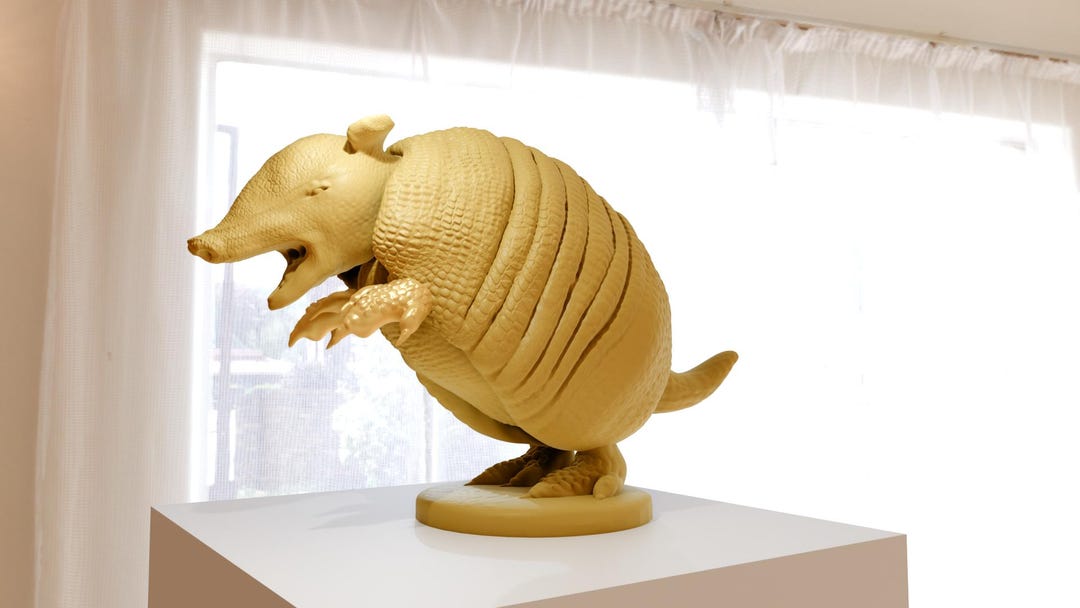 Armadillo Standing Mouth Open 3d Printing STL File - Etsy