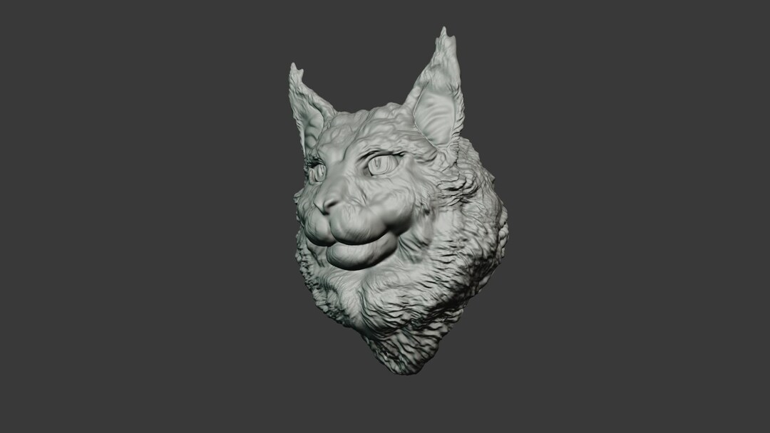 Maine Coon Cat Head Wall Mount STL File - Etsy