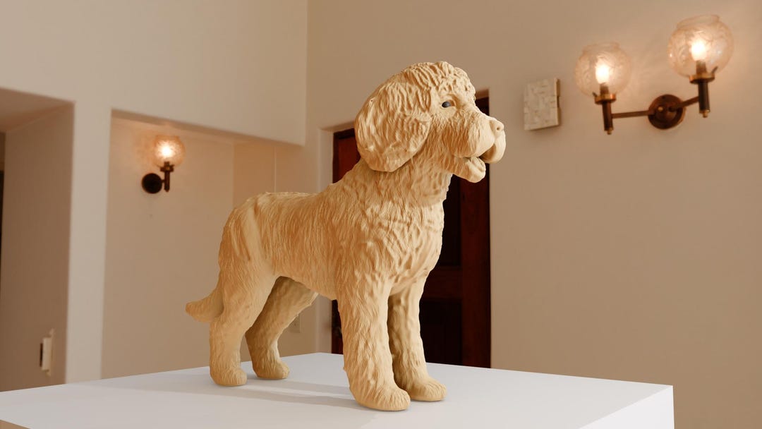 Golden Doodle Dog Mouth Open 3d Printing STL File - Etsy