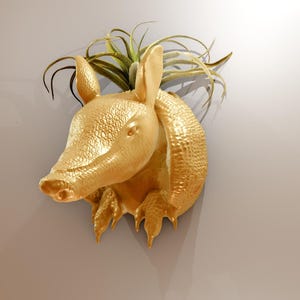 Armadillo Head Wall Mount Planter Pot Flower Vase 3d Printing STL File ...