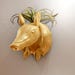 Armadillo Head Wall Mount Planter Pot Flower Vase 3d Printing STL File ...