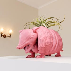 Armadillo Mouth Open Planter Pot Flower Vase 3d Printing STL File - Etsy