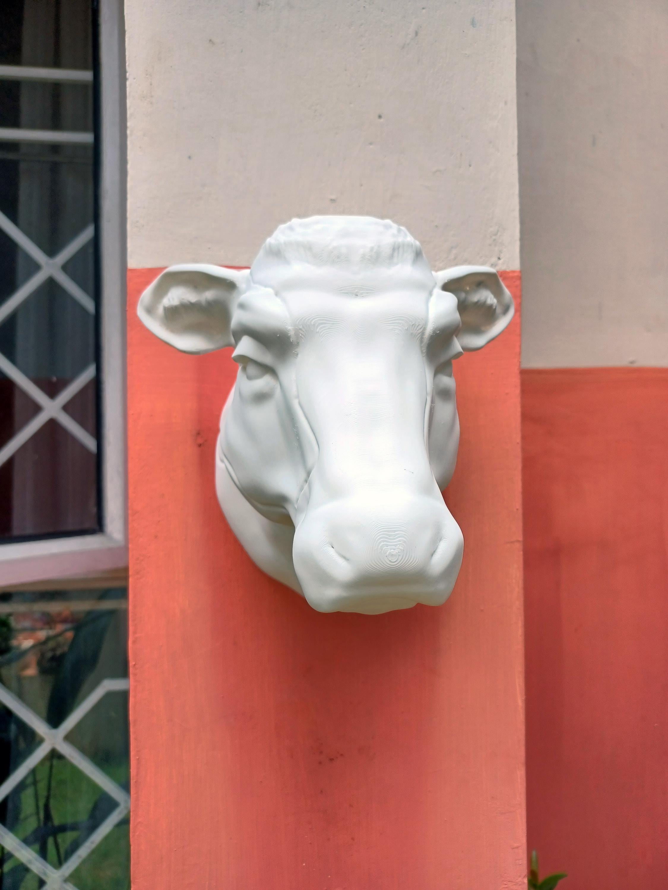Cow Head Wall Mount 3d Printing STL File - Etsy