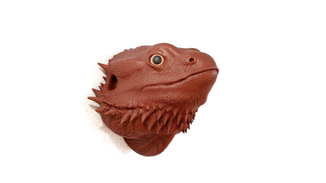 Bearded Dragon Head Wall Mount 3d Printing STL File - Etsy