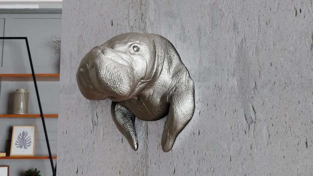 Manatee Head Wall Mount 3d Printing STL File - Etsy