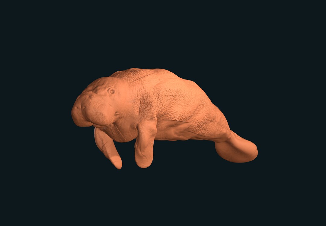 Manatee 3d Printing STL File - Etsy