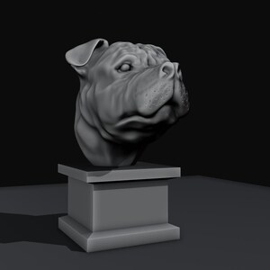 Pitbull Dog Bust 3d Printing STL File - Etsy