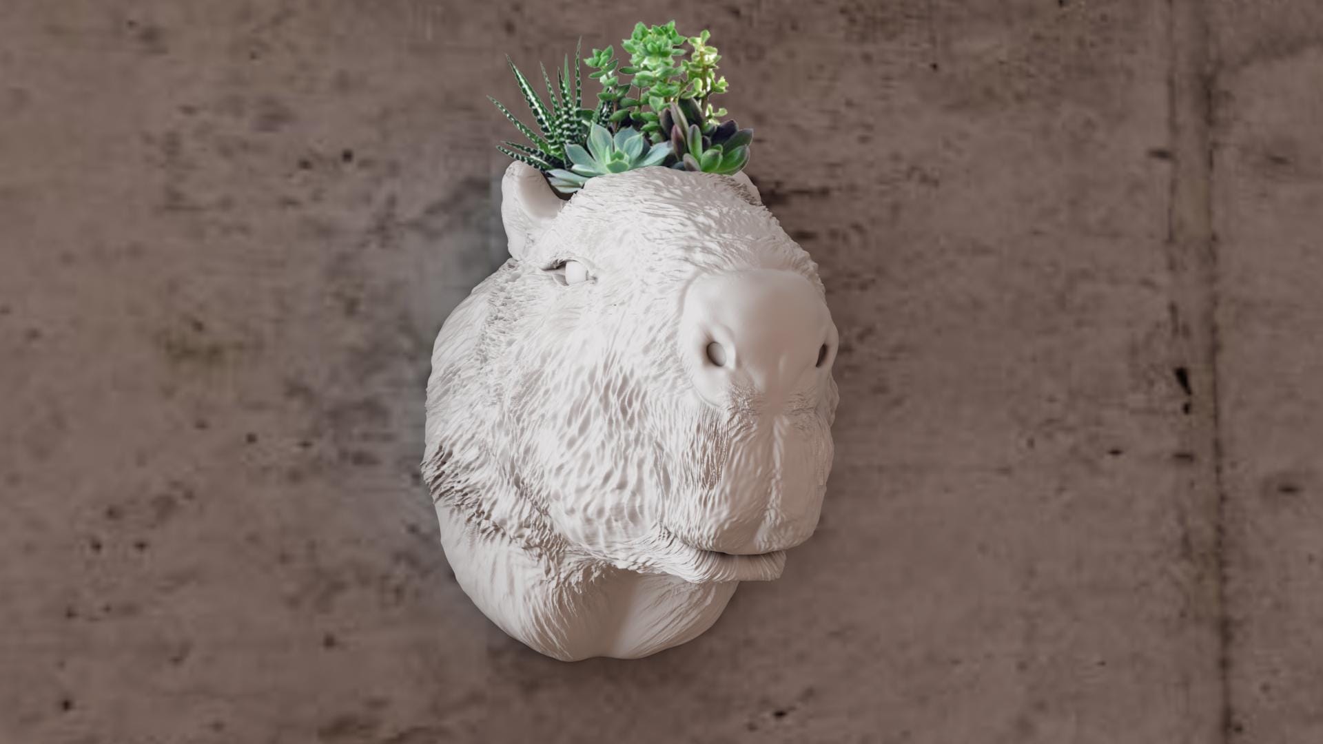 Capybara Head Wall Planter Pot Flower Vase 3d Printing STL File - Etsy