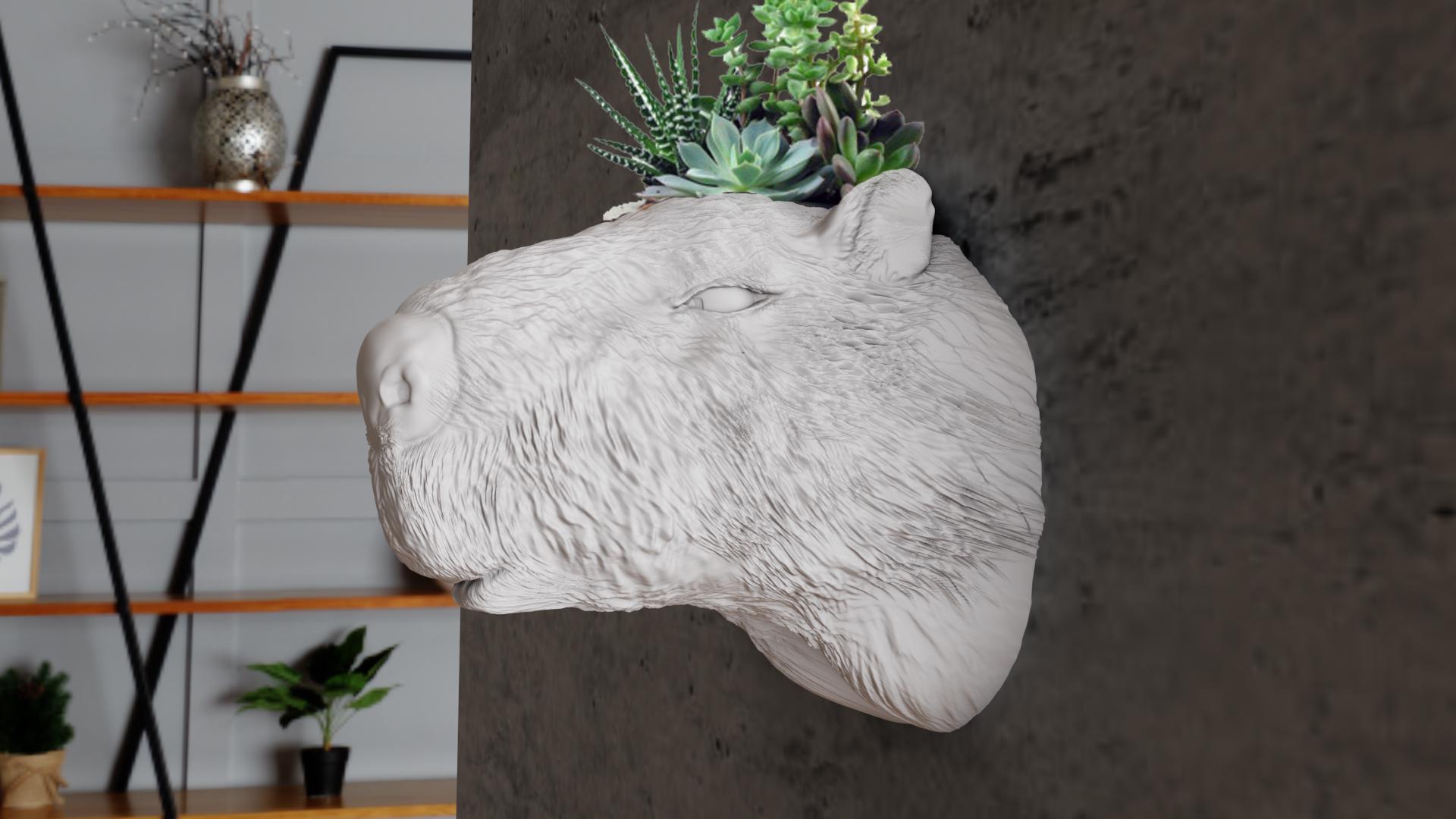 Capybara Head Wall Planter Pot Flower Vase 3d Printing STL File - Etsy