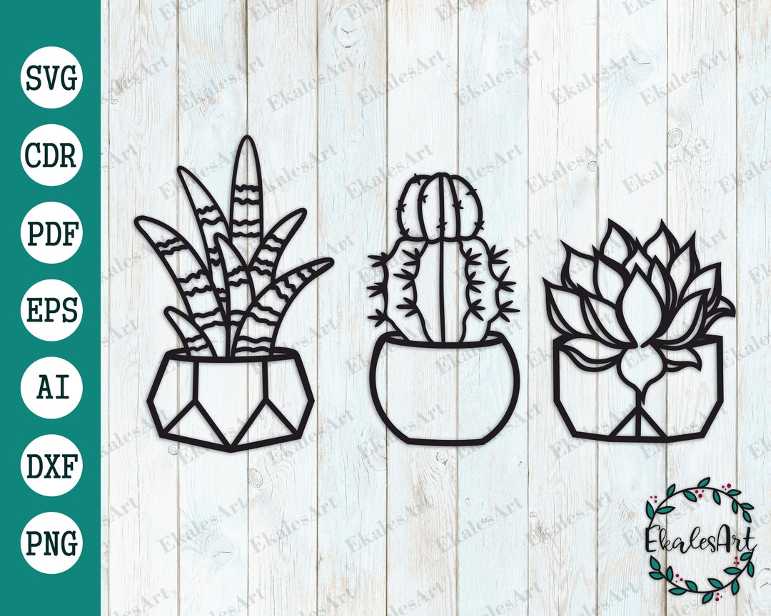 Cactus & Succulent SVG Cut File Set (digital Download) - Etsy