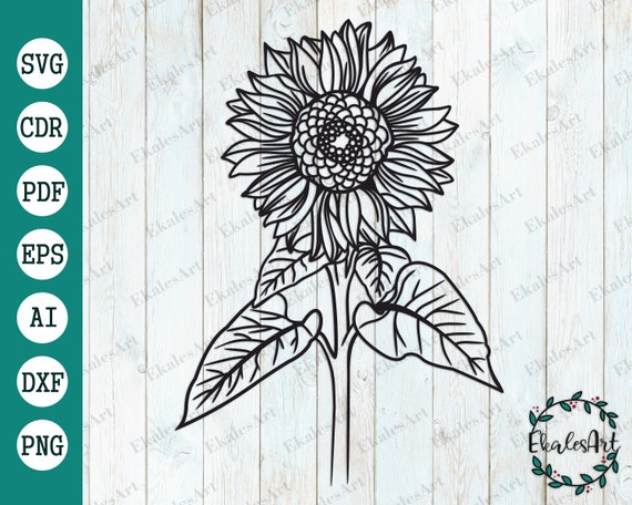 Sunflower SVG Sunflower Png Sunflowers Clipart Flower - Etsy