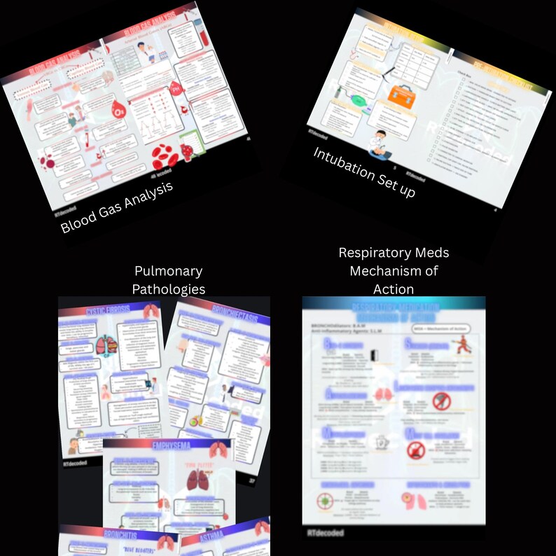 Respiratory Study Variety Pack Bundle - Etsy