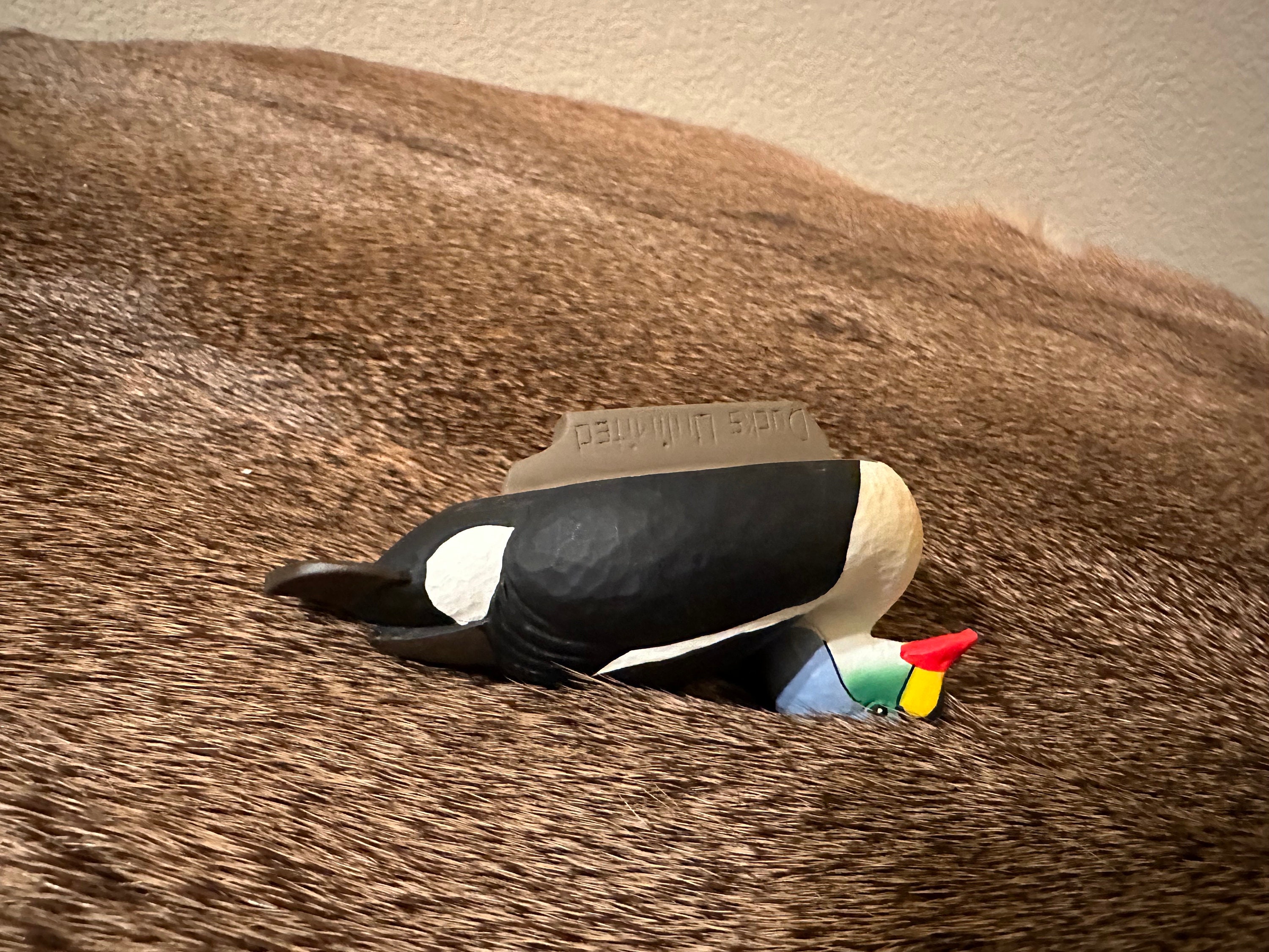 NEW RELEASE 2024!!! Jett Brunet Ducks Unlimited Miniature King Eider ...