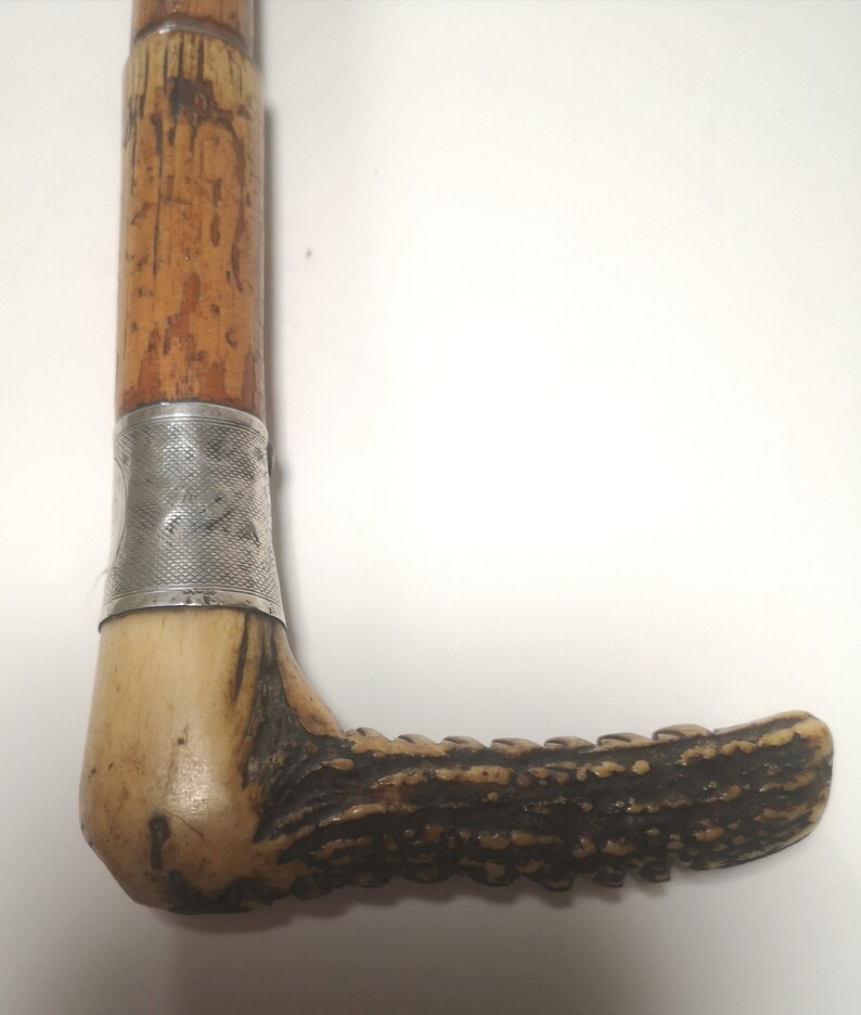 Antique Man's Bamboo Cane Hunting Whip 18 - Etsy