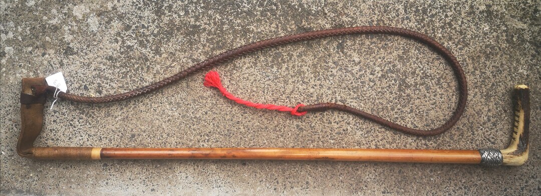 Chicote de caça de cana Swaine e Co Malacca do início do século 20 com ...