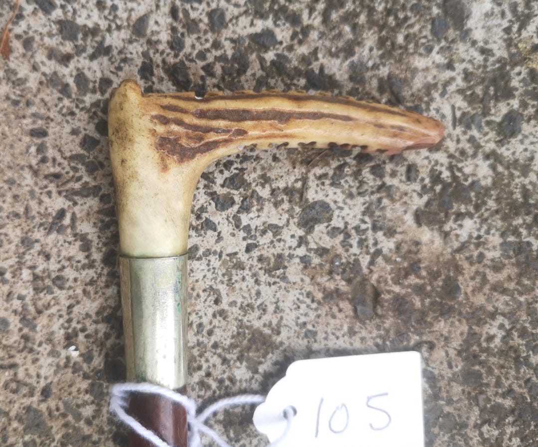 Antique Childs Malacca Cane Hunting Crop C 1920 Original Condition ...