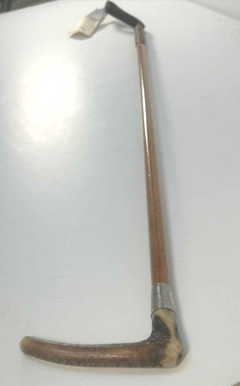 Late 19th Century Lady's Malacca Cane Hunting Whip 24 - Etsy