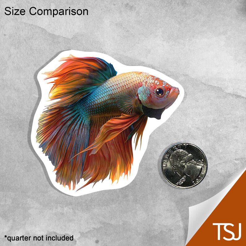 4 Pack Betta Fish Custom Die Cut Vinyl Decals Water and UV Resistant ...