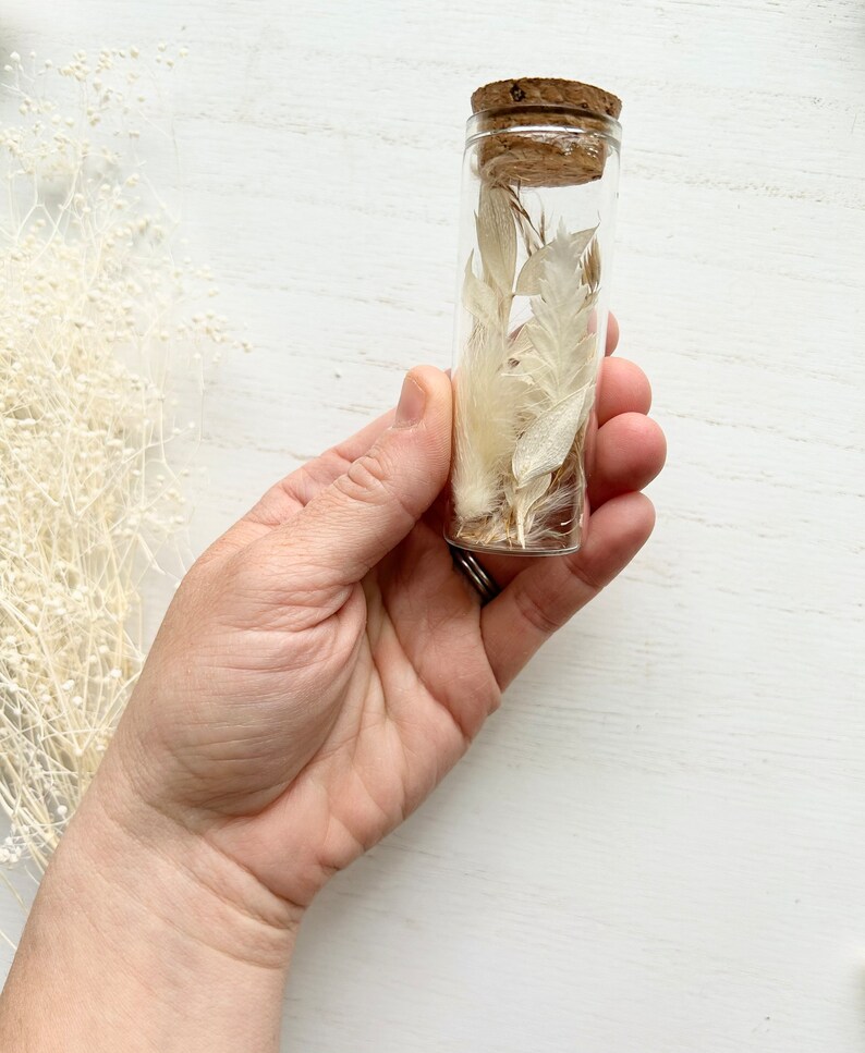 Set of 3 Mini Jars of Dried Neutral Florals // Botanical Glass Vials - Etsy