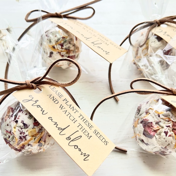 Seed Bombs - Etsy