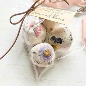 Handmade Wildflower Seed Bombs: USA Native Perennial Seeds - Etsy