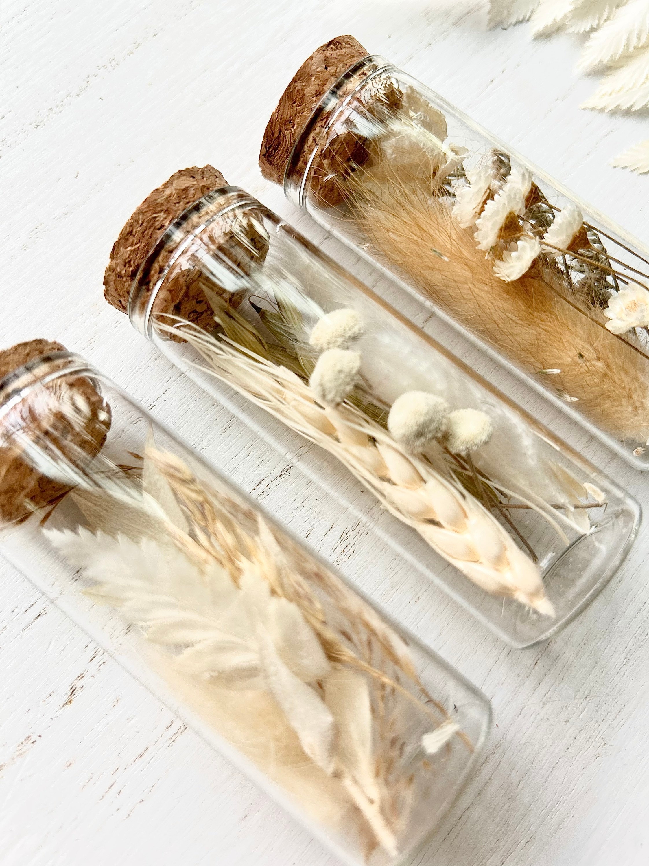 Set of 3 Mini Jars of Dried Neutral Florals // Botanical Glass Vials - Etsy