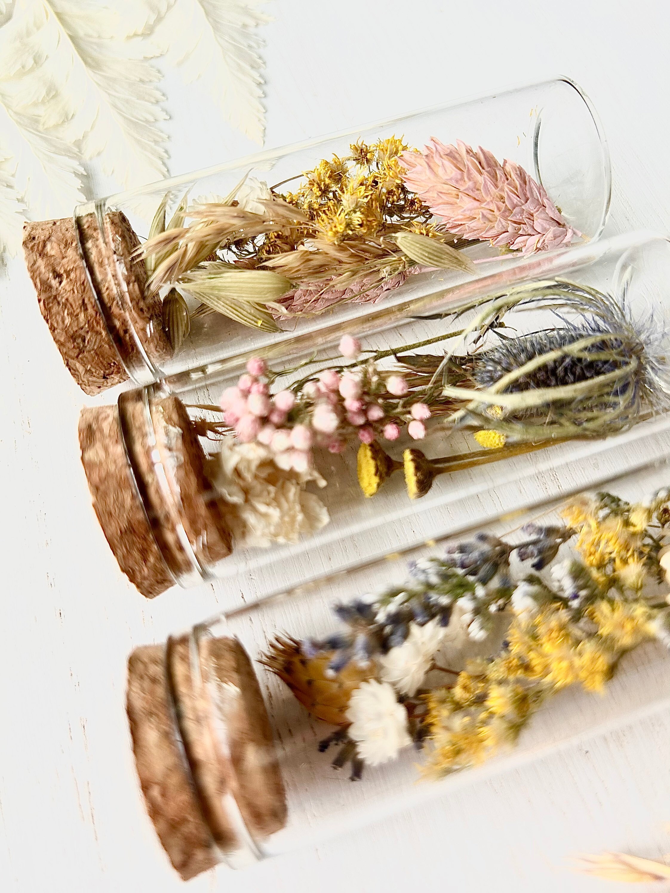 Set of 3 Wildflower Glass Vials // Botanical Jars 3.15inches - Etsy