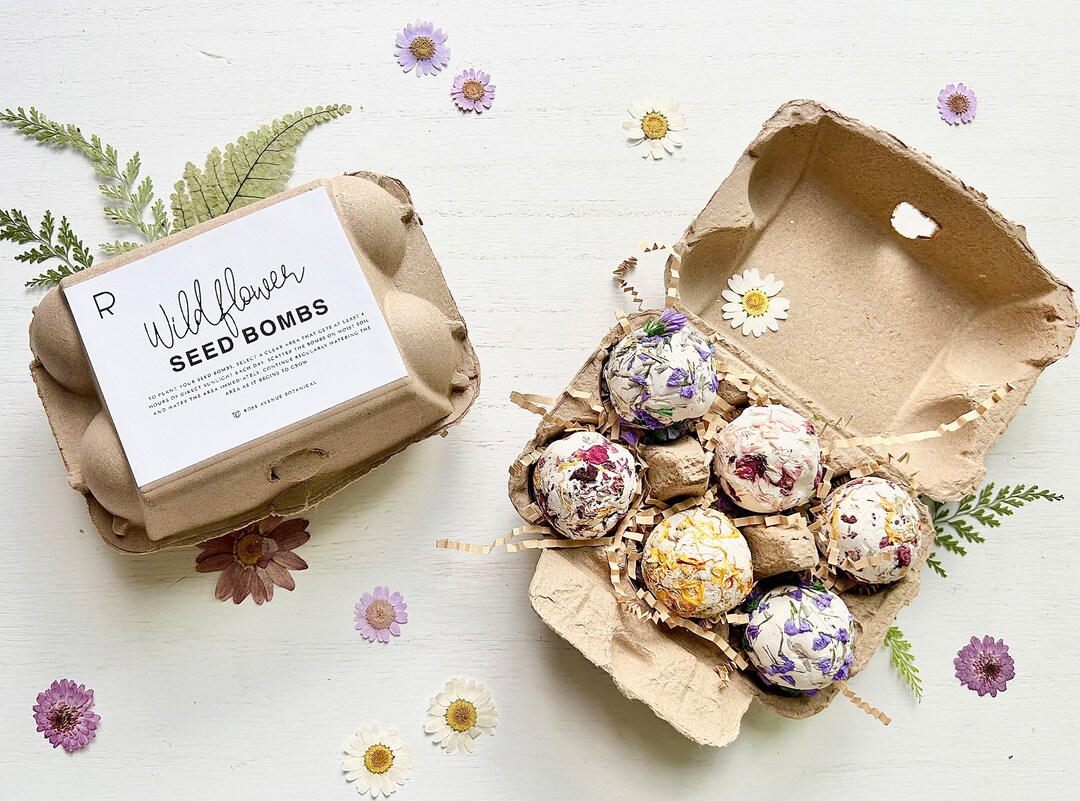Handmade Seed Bomb Carton // Floral Wildflower Seed Bombs - Etsy