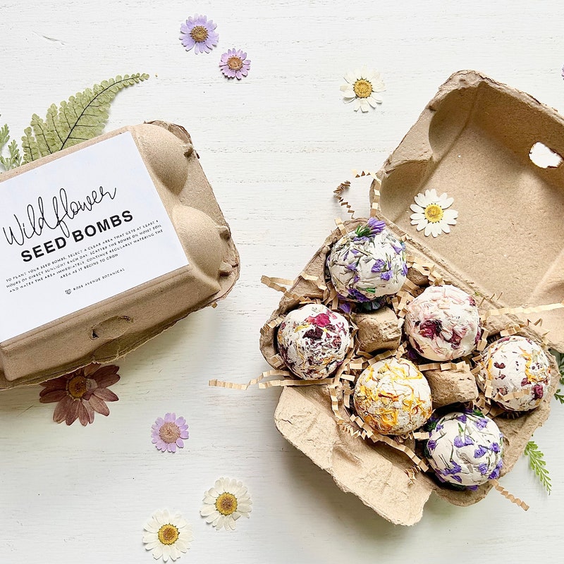 Seed Bombs - Etsy