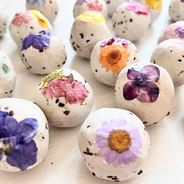 Seed Bombs - Etsy