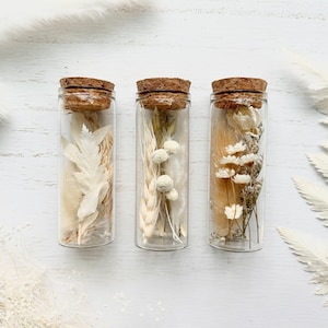 Set of 3 Mini Jars of Dried Neutral Florals // Botanical Glass Vials - Etsy