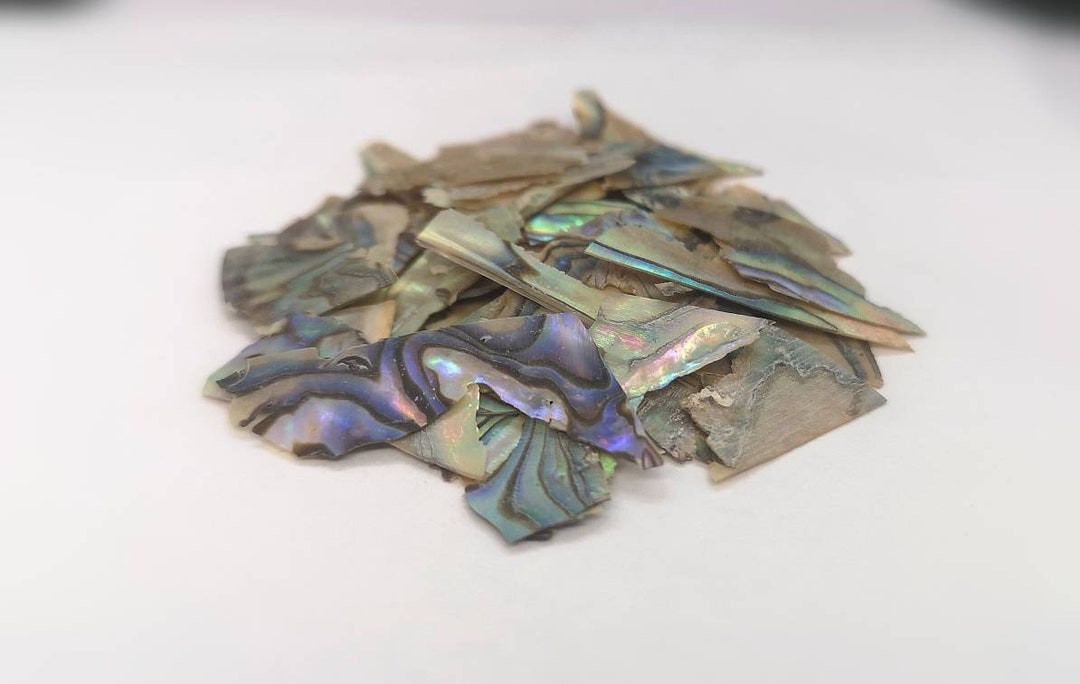 Natural Abalone Chips Inlay Flakes Rings Jewellery - Etsy