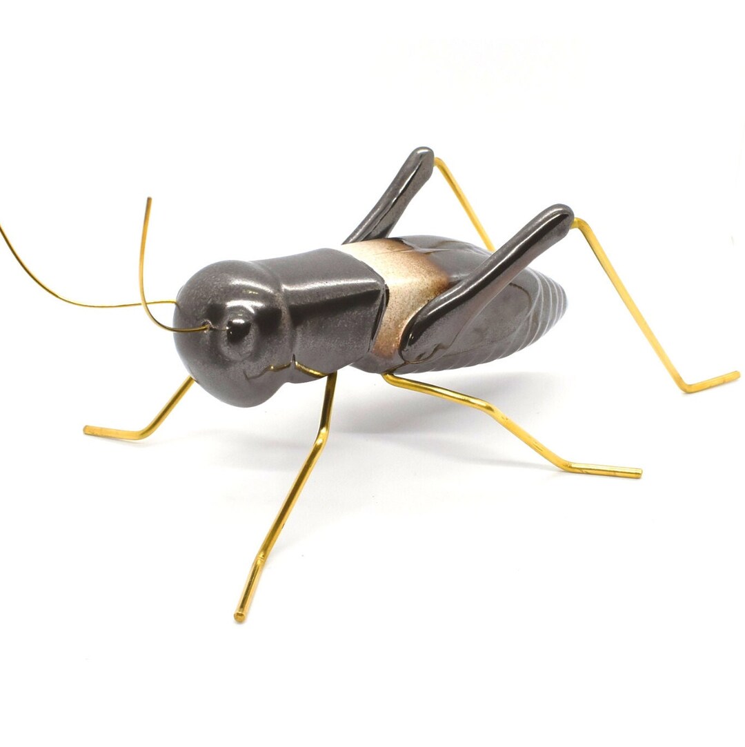 Metallic Brown Cricket in Decorative Ceramic and Brass Unique Art Piece ...