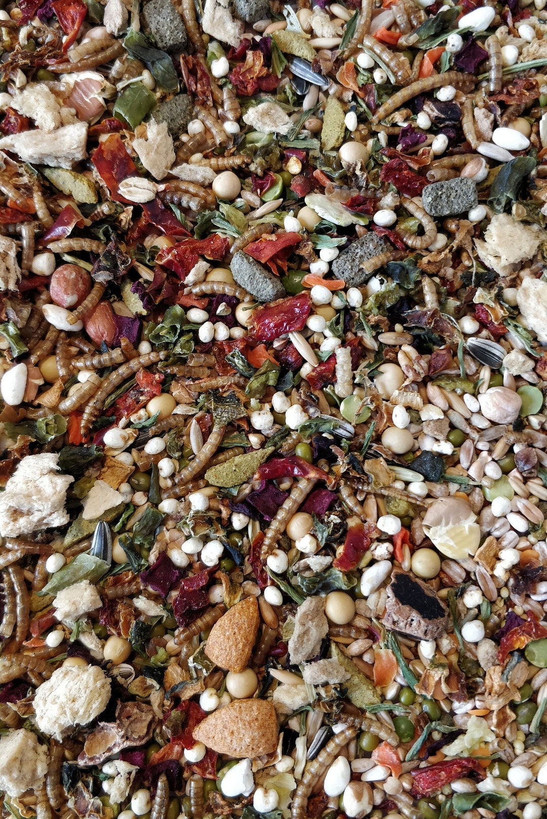 Hammykins Syrian Hamster Food - Etsy UK