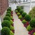 Shade Planting Scheme, Garden Plan Under Shade Tree, Tree Base ...